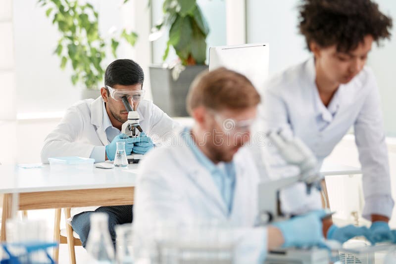 Image of a Group of Scientists Working in a Laboratory. Stock Photo ...