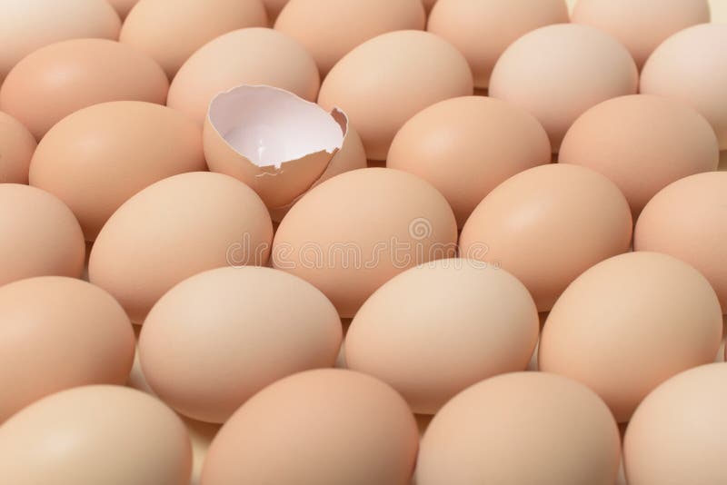 Image of a Group of Whole Chicken Eggs and Half an Egg Shell among it ...