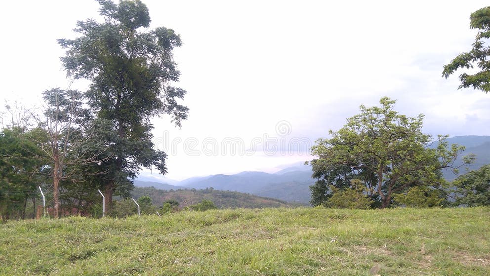 Image stock image. Image of necar, good - 121012885