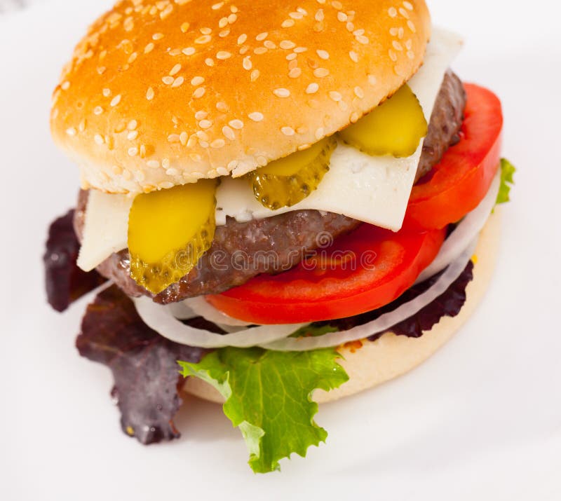 Image of Hamburger on the Plate Stock Image - Image of meat, juicy ...