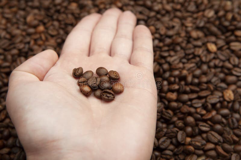 Image of Hand Coffee Grain Background Stock Photo - Image of aroma ...