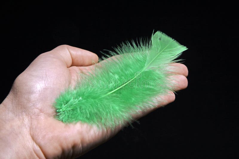 Image of Hand Feather Dark Background Stock Photo - Image of freedom ...