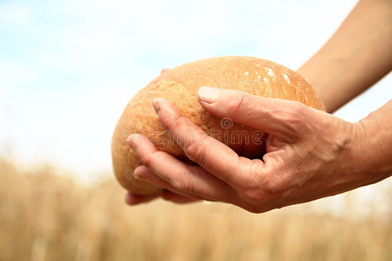 Holding a Fresh Loaf of Bread Stock Photo - Image of bread, agriculture ...