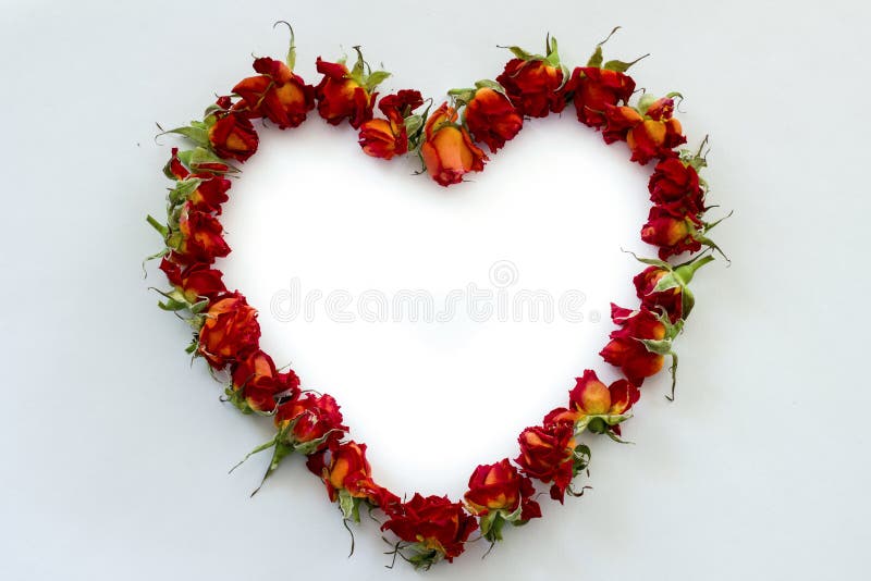 Image of Heart-shaped Red Roses Stock Photo - Image of beautiful ...
