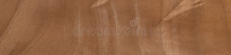 Walnut Feather Veneer with Flowing Grain and Warm Caramel Tones Stock ...