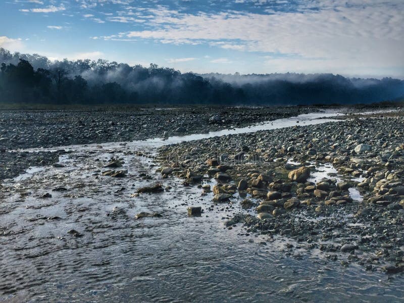 Image of Hills in Real Life Forest Stock Image - Image of holding ...