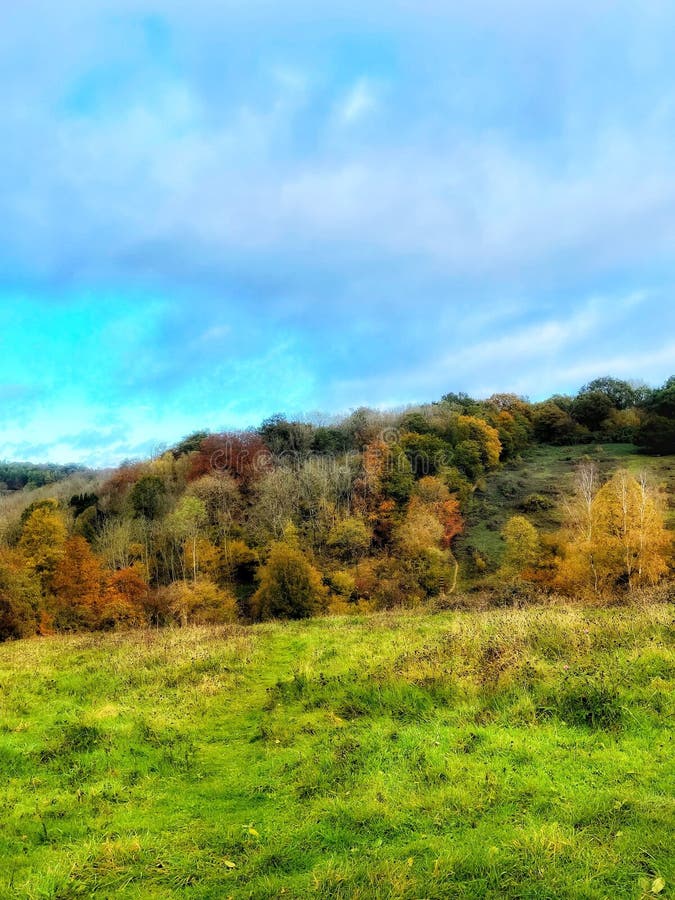 Hillside and Forest in Autumn Stock Image - Image of plain, hill: 298461719