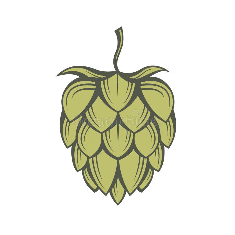 Hops Stock Illustrations – 23,704 Hops Stock Illustrations, Vectors ...