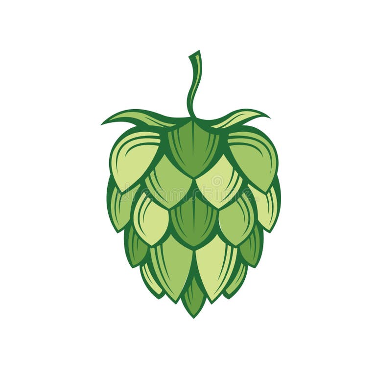 Hops Stock Illustrations – 23,704 Hops Stock Illustrations, Vectors ...