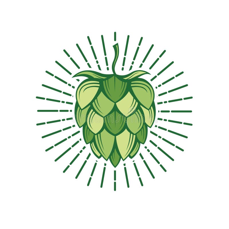 Hops Stock Illustrations – 22,135 Hops Stock Illustrations, Vectors ...