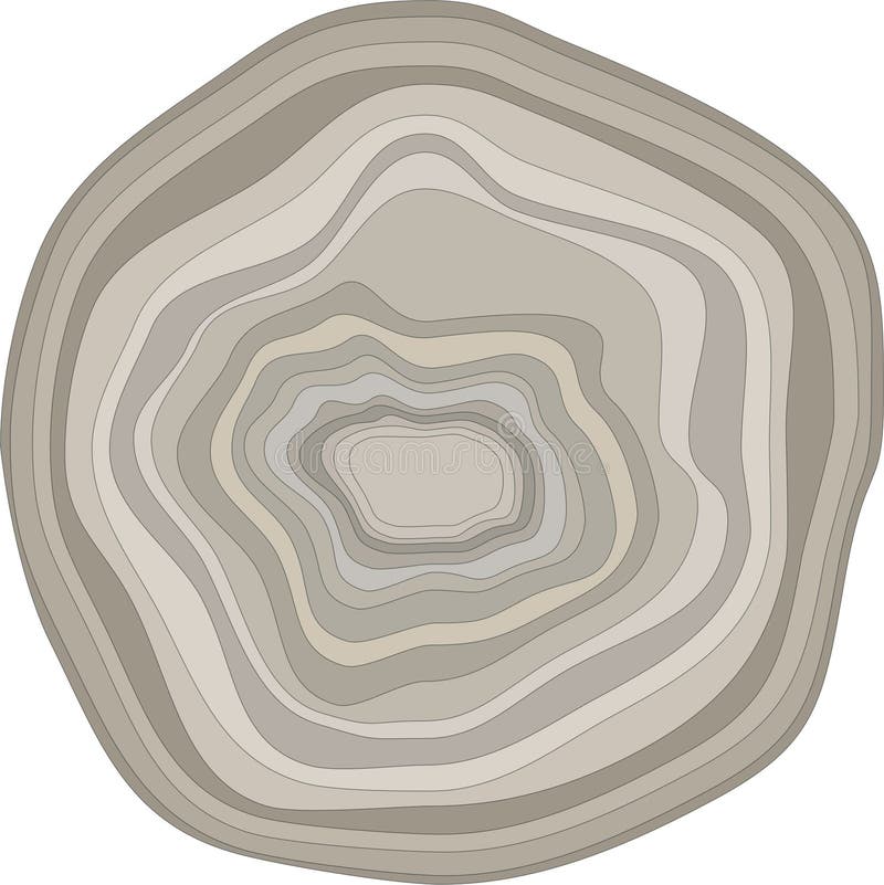 Image of a Horizontal Section of a Tree Trunk. Radial Abstract Rings ...