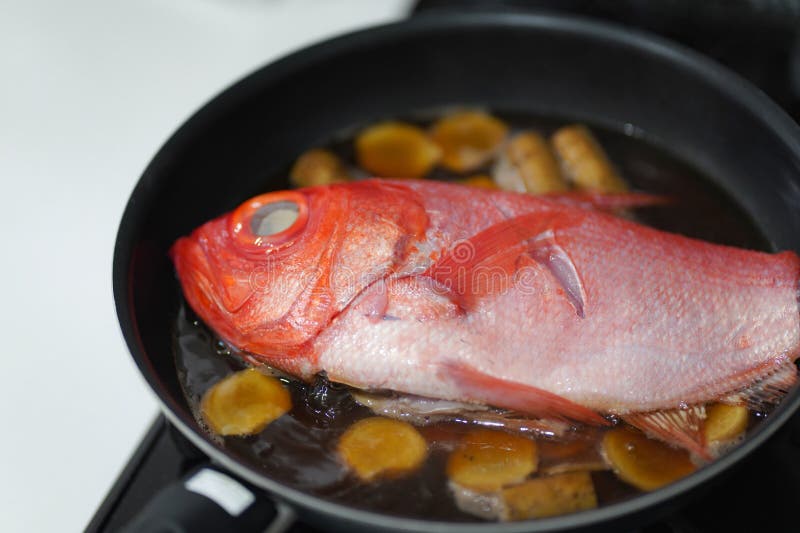 Making boiled red snapper stock image. Image of ingredient - 327640417
