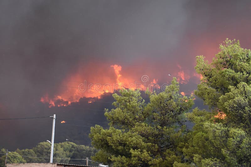 Fire Parnitha Greece stock photo. Image of field, fire - 329021280
