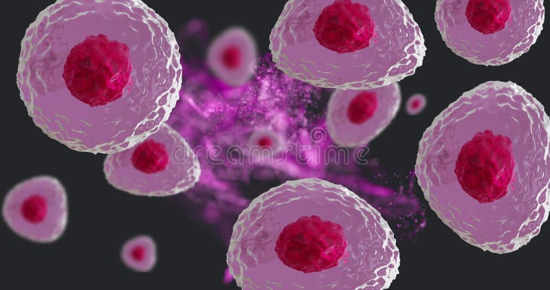 Image of Human Body Cells on Black Background Stock Illustration ...