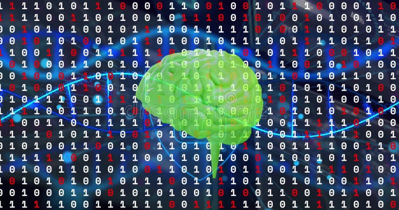 Image of Human Brain and Binary Coding Data Processing Stock Photo - Image of analysis, business ...