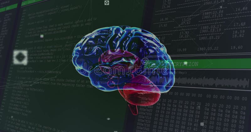 Image of Human Brain Spinning and Data Processing Over Computer Screens ...