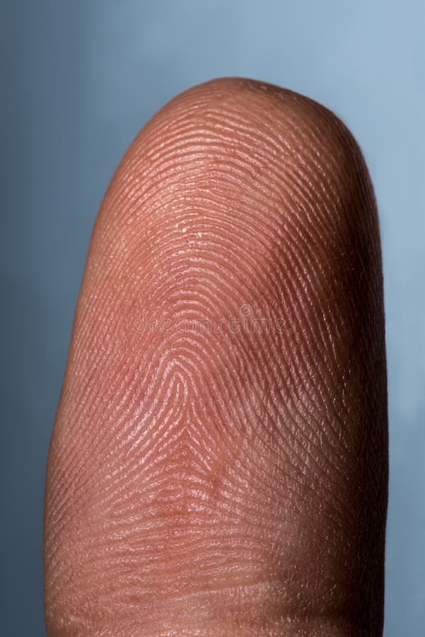 Human Body Outline Stock Photos - Download 1,195 Royalty Free Photos