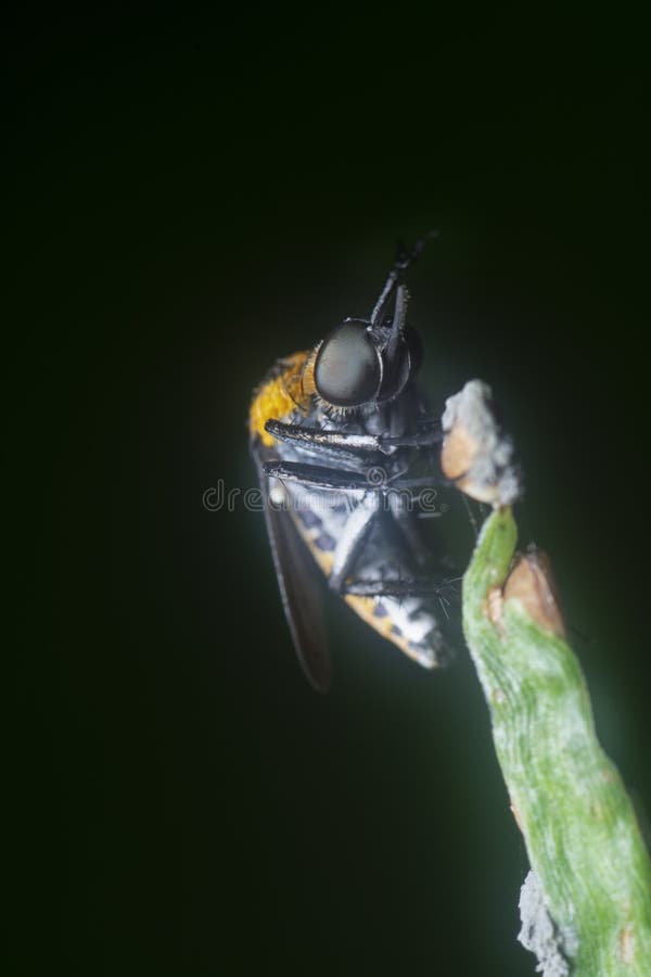 Hunch back old woman stock photo. Image of frown, citizen - 14023924