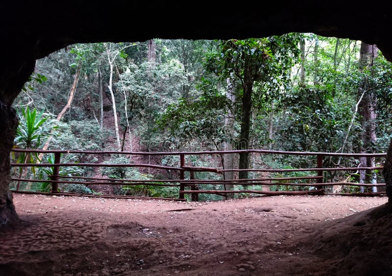 Inside Cave of at Forest Looking Out Stock Photo - Image of letters ...