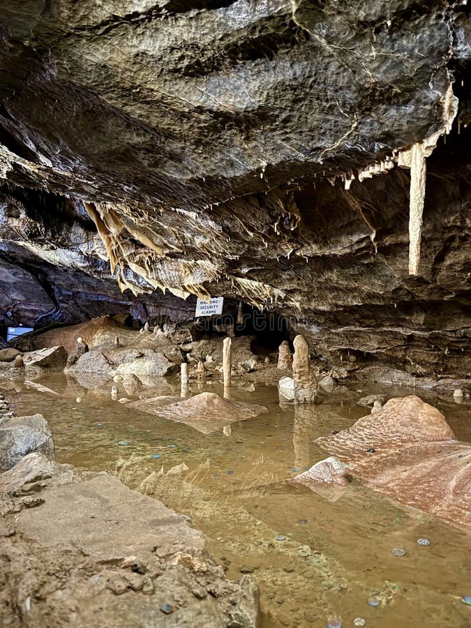 The Caves at Cheddar Gorge stock photo. Image of trunk - 385773262