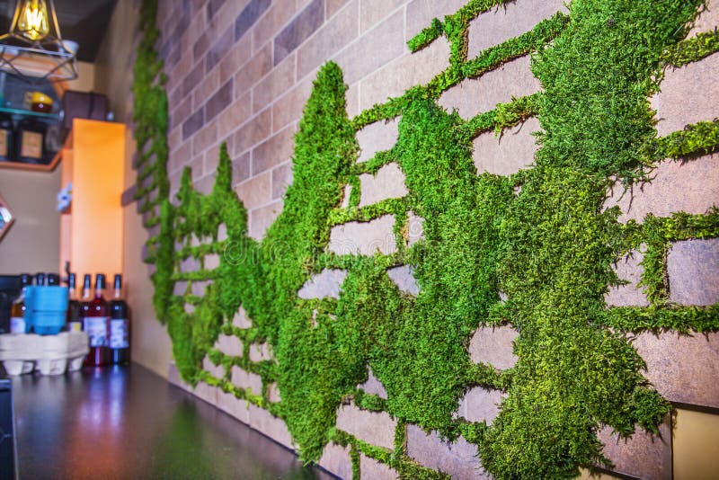 Interior with a Reception Desk with Moss in the Loft Style. Decorative ...