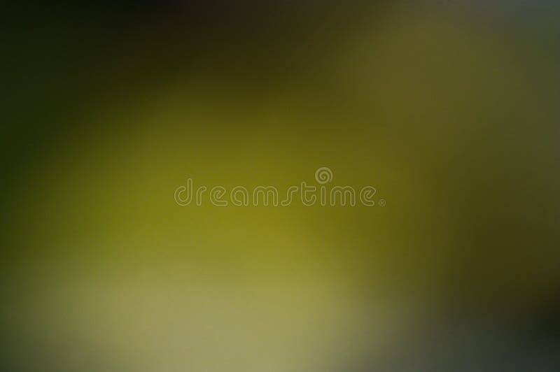 Image of a Iridescent Green Background Stock Photo - Image of light ...