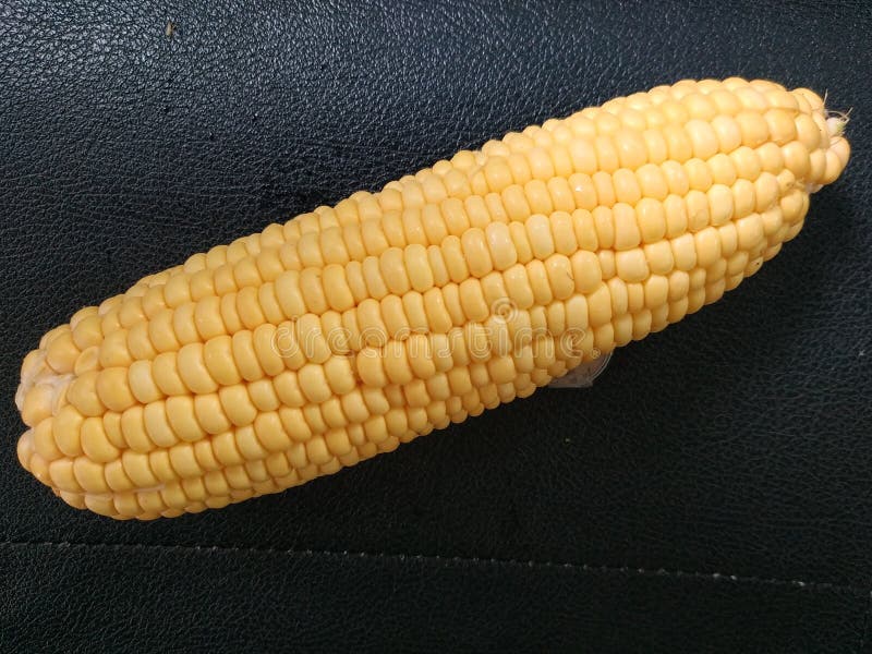 Jumbo Sized Corn on Black Leather Board Stock Image - Image of board ...