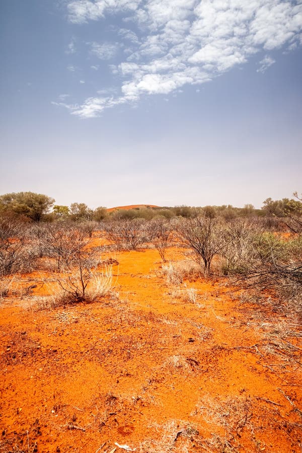 Landscape Scenery of the Australia Outback Stock Photo - Image of ...