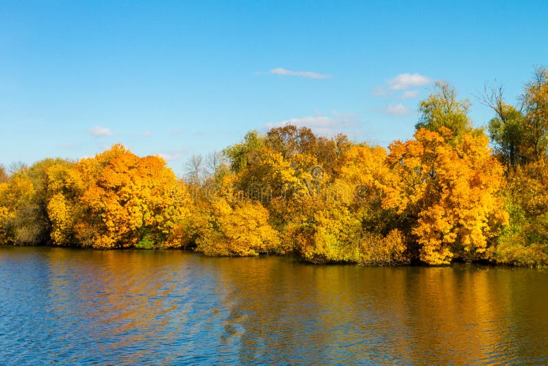 Landscape Yellow Trees on the Banks of a Large River Stock Image ...