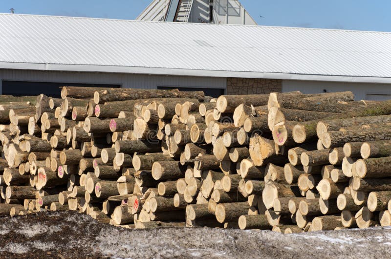 Stack of logs by sawmill stock photo. Image of forestry - 111482302