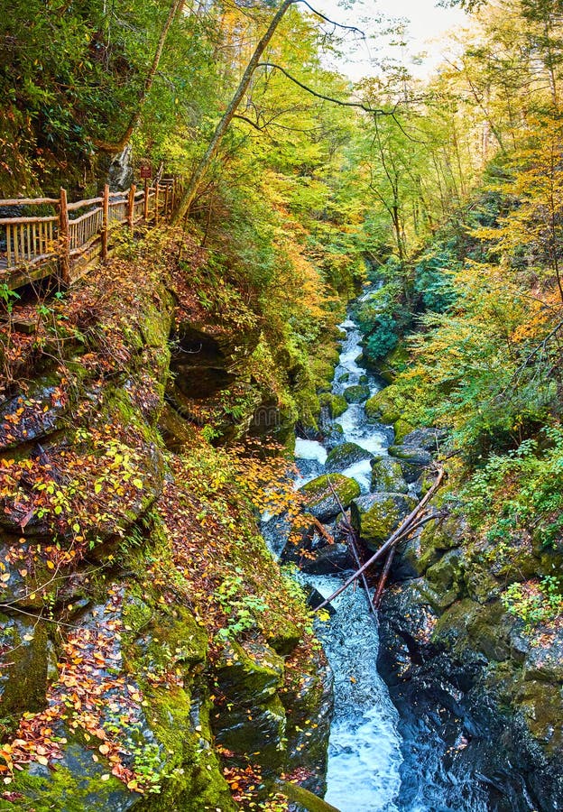Large Valley with Boardwalk Along Leaf-covered Cliffs and River Filled ...