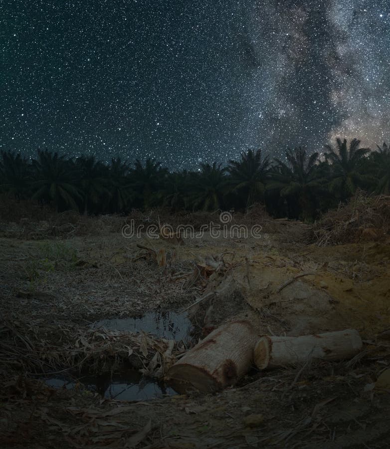 Late Night Scene at the Vacant Land Stock Image - Image of glowing ...