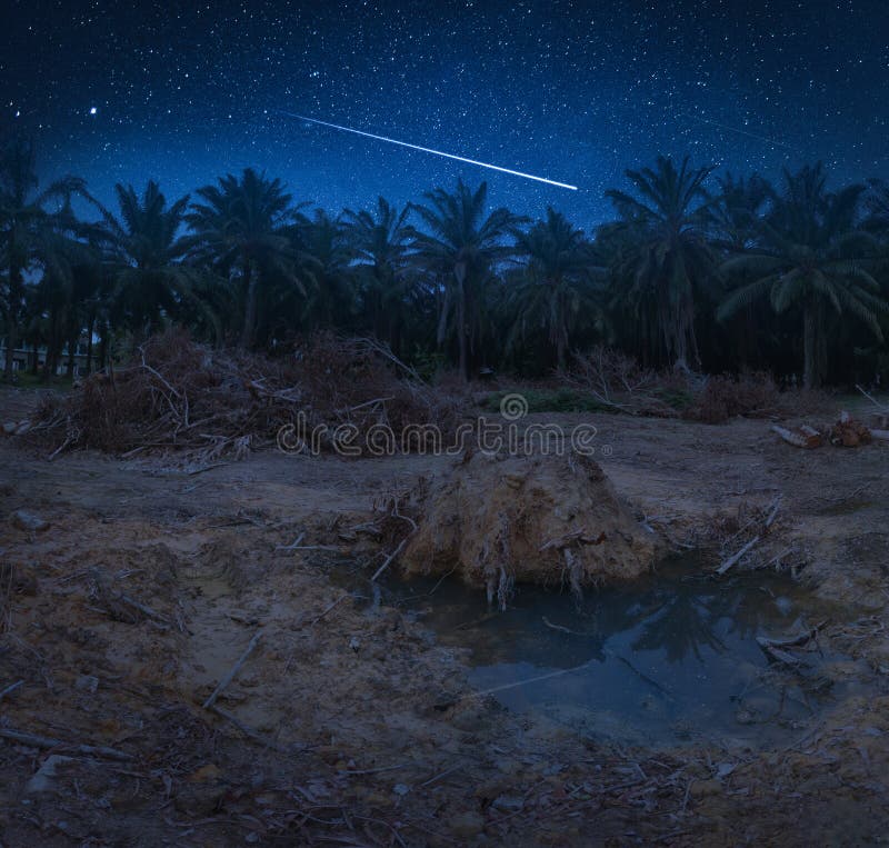 Late Night Scene at the Vacant Land Stock Image - Image of land, galaxy ...
