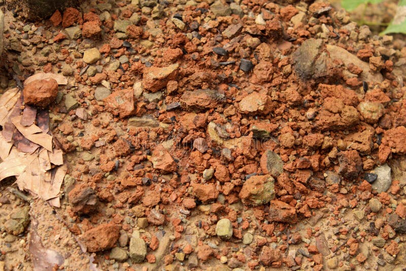 Laterite Soil Profile
