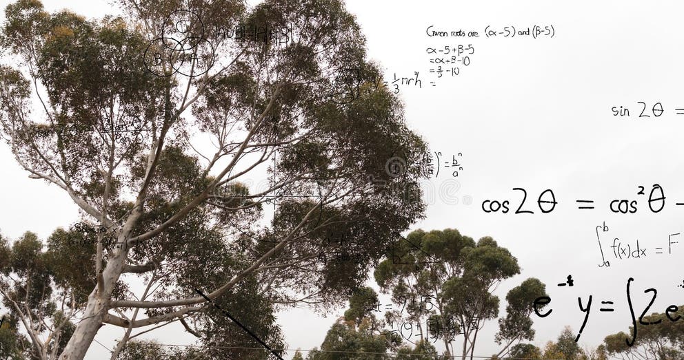 Image of Layers of Mathematical Formulae and Equations Over Trees and ...