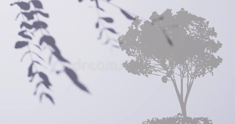Image of Leaf Shadow Over Tree on White Background Stock Illustration ...