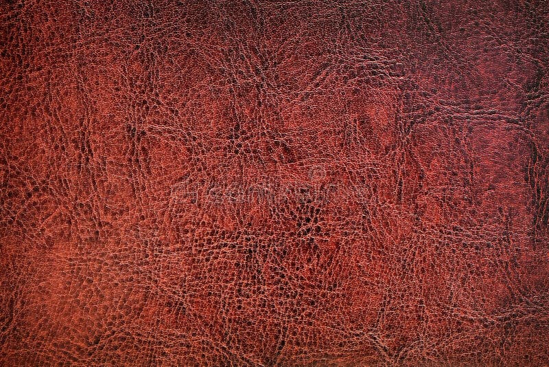 Image of leather surface stock photo. Image of closeup - 119884892
