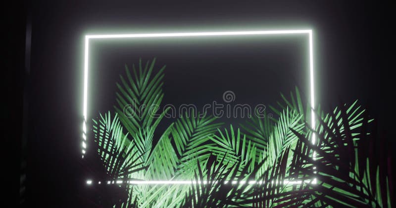 Image of Leaves Over White Neon Rectangle on Black Background Stock ...