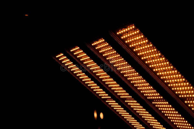 Lighting and Led Panel Technician Installing Professional Lighting ...