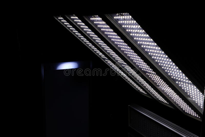 Lighting and Led Panel Technician Installing Professional Lighting ...