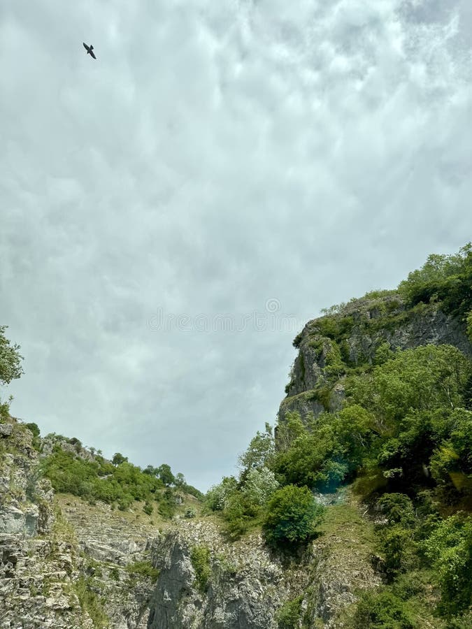The Limestone Cliffs at Cheddar Gorge Stock Image - Image of hill ...