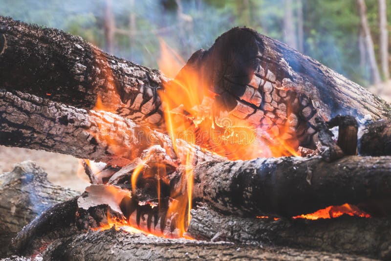 The Image of Logs in the Burning Fire. Stock Photo - Image of fire ...
