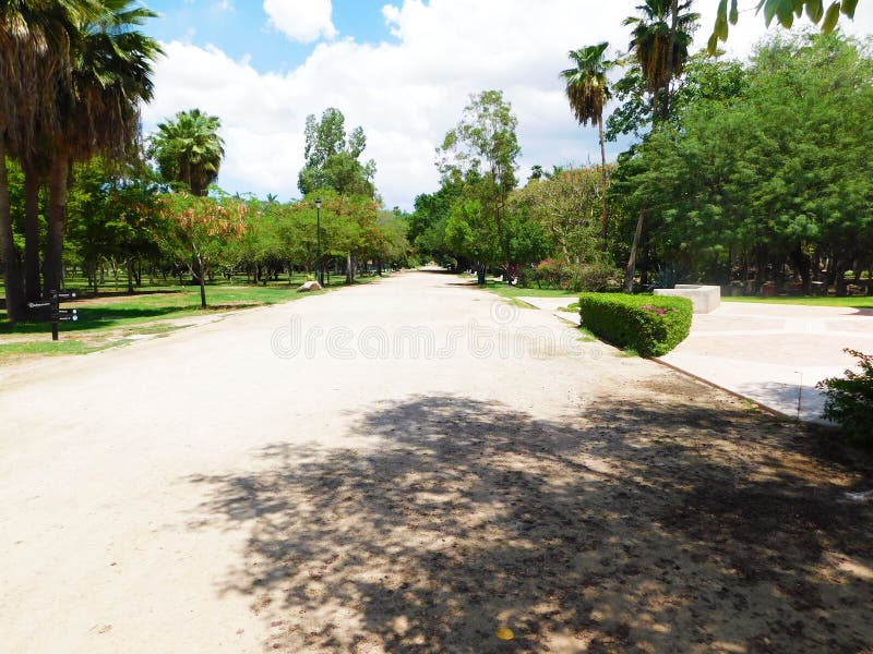 Natural way in sunlight stock image. Image of land, plants - 107593659