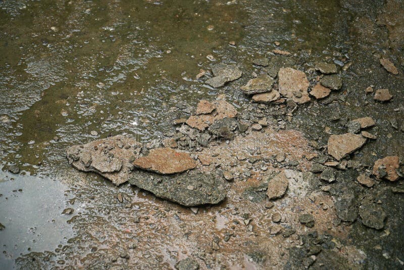 Loosened Layer Stock Photos - Free & Royalty-Free Stock Photos from ...