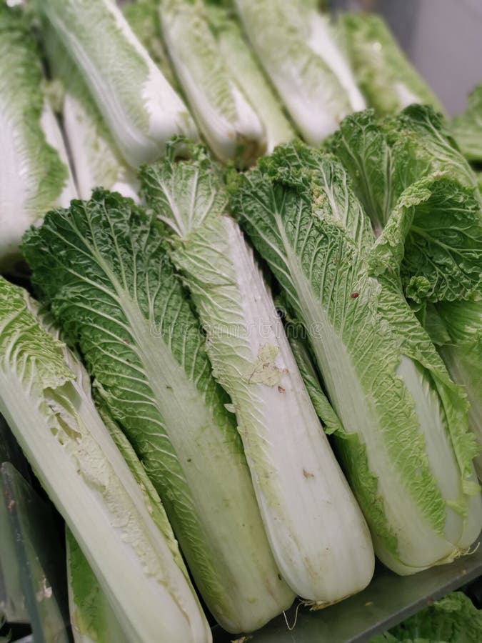 Lots of the China Long Cabbage Stock Image - Image of freshness, china ...