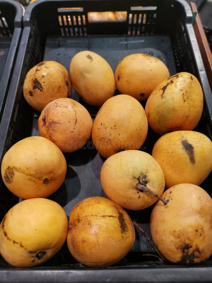 Lots of ripe apple mangoes stock photo. Image of mangifera - 243966784