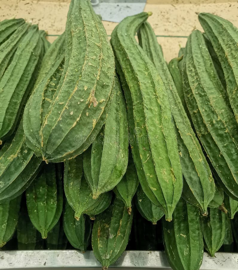 Luffa@Luffa acutangula stock image. Image of luffa, cuisine - 185872637