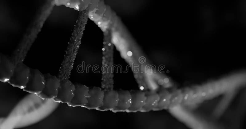 Image of Macro of Grey 3d Dna Strand Spinning Stock Illustration ...