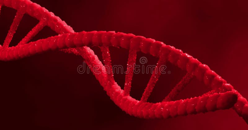 Image of Macro of Red 3d Dna Strand Spinning Stock Illustration ...
