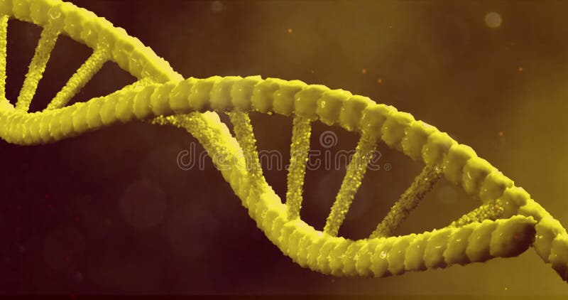 Image of Macro of Yellow 3d Dna Strand Spinning Stock Illustration ...